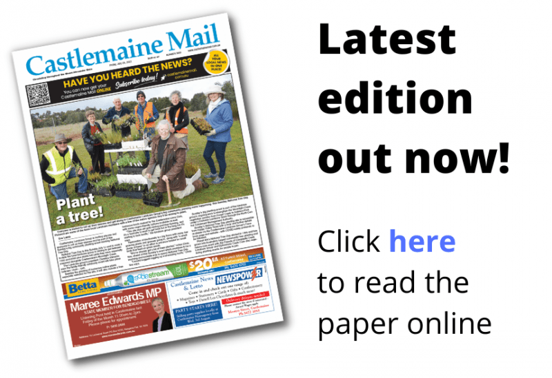 Art Show raffle | Castlemaine Mail