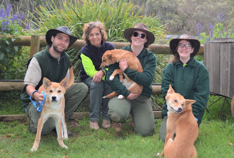 Chewton wildlife sanctuary opens its gates | Castlemaine Mail
