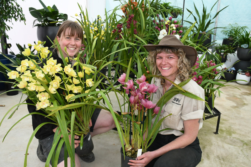Spring into ASQ Garden & Landscape | Castlemaine Mail