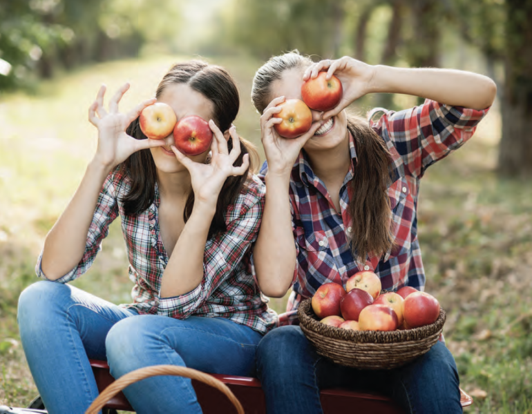 The countdown to Harcourt Applefest is on | Castlemaine Mail