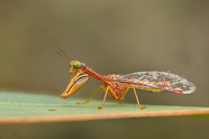 The importance of invisible things | Castlemaine Mail