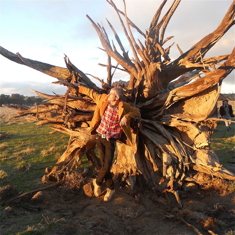 Fringe Summer Sessions | Castlemaine Mail